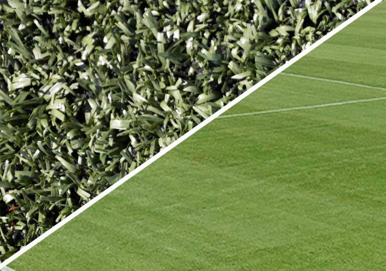 Natural Grass System - Vescio's SportsFields
